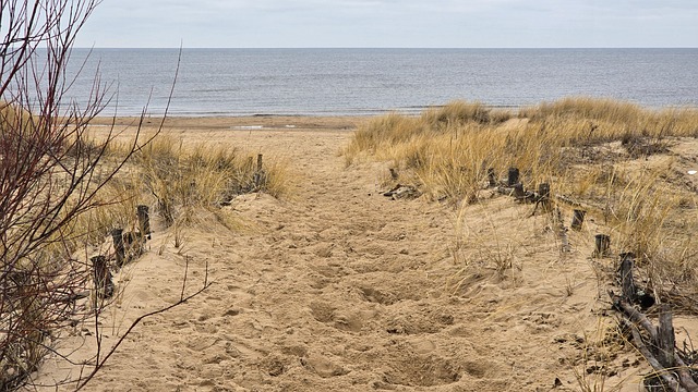 Plage L'Été Forêt - Photo gratuite sur Pixabay