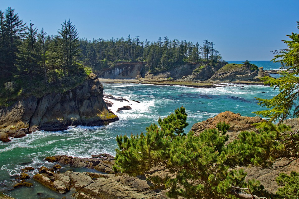 Ocean Coastal Trees - Free photo on Pixabay