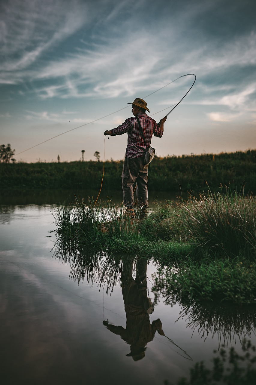 Más de 7 000 imágenes gratis de Pescadores y Naturaleza - Pixabay