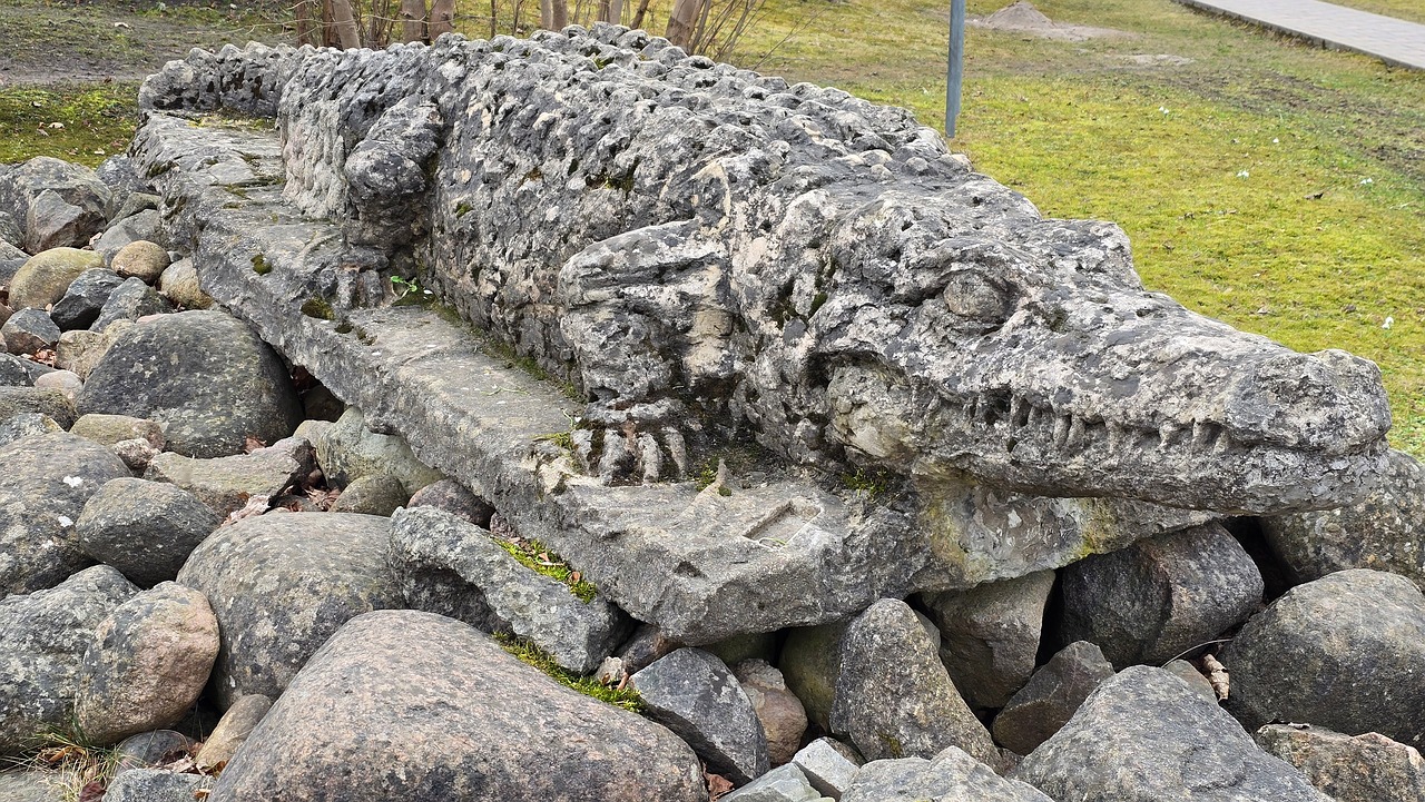 Crocodile Dandy Dundaga - Photo gratuite sur Pixabay