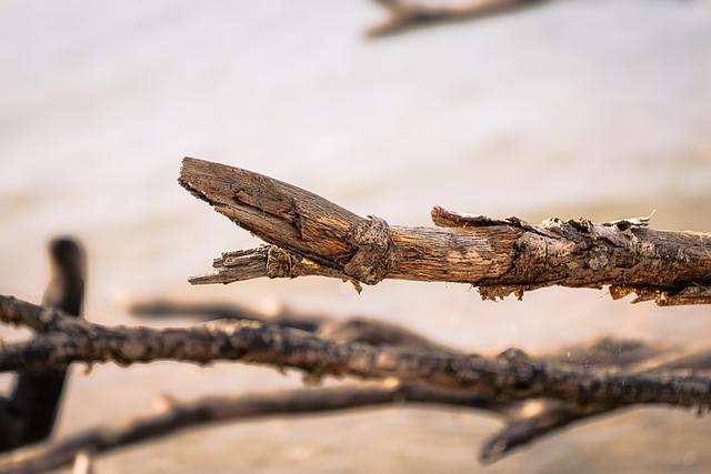 Wood Texture Ocean - Free photo on Pixabay