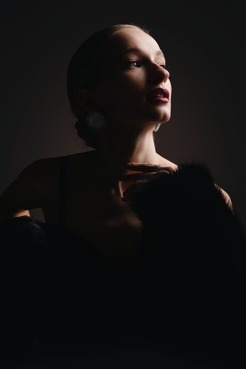 Moda Editorial Modelo Estudio - Foto gratis en Pixabay