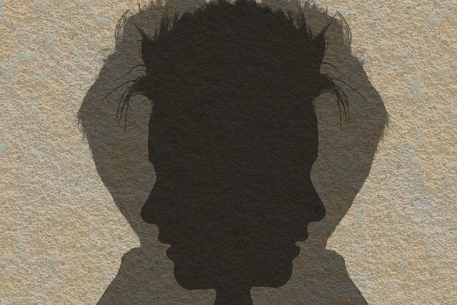 300+ Free Adolescence & Adolescent Images - Pixabay
