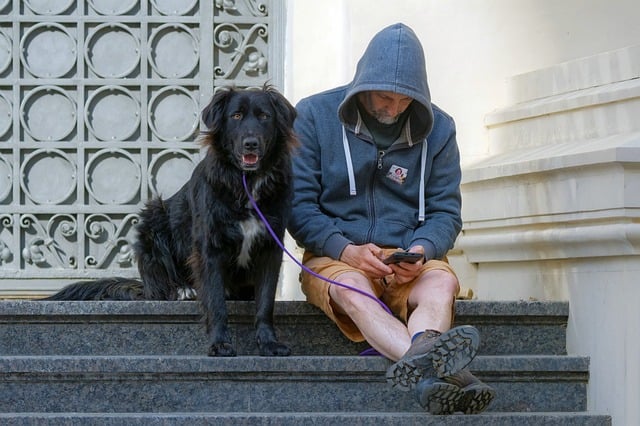Man Dog Pet - Free photo on Pixabay