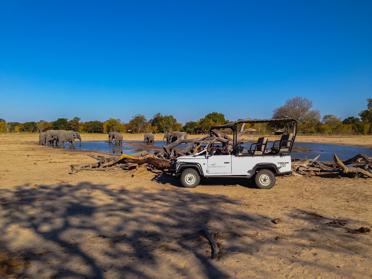 Zimbabwe Safari - Free photo on Pixabay