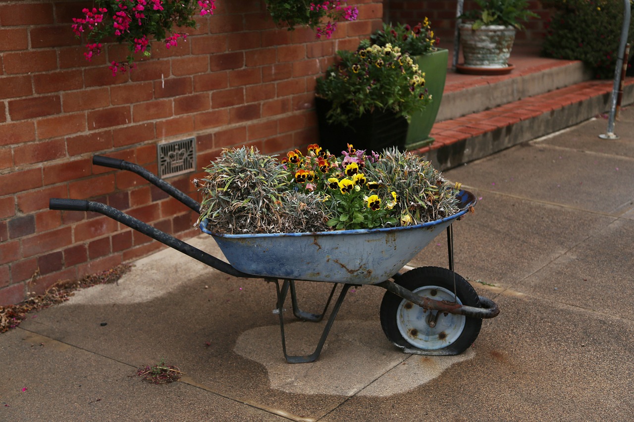 Wheelbarrow Flowers Floral - Free photo on Pixabay