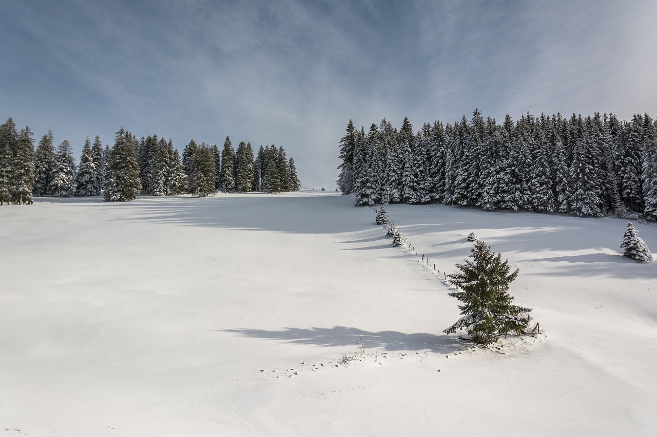 Canton Of Neuchâtel Winter The - Free photo on Pixabay