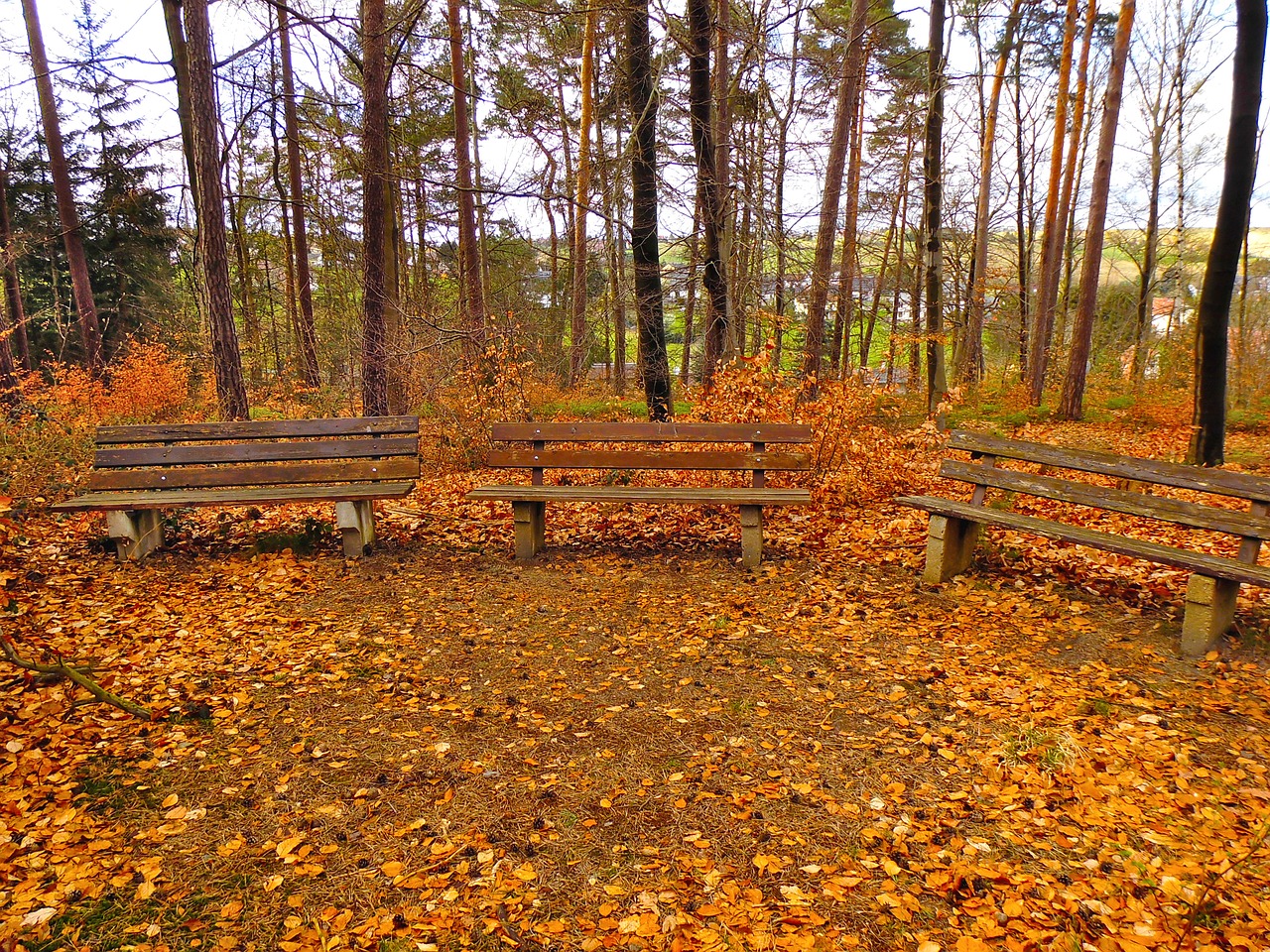 Bangku Hutan Tempat Peristirahatan - Foto gratis di Pixabay