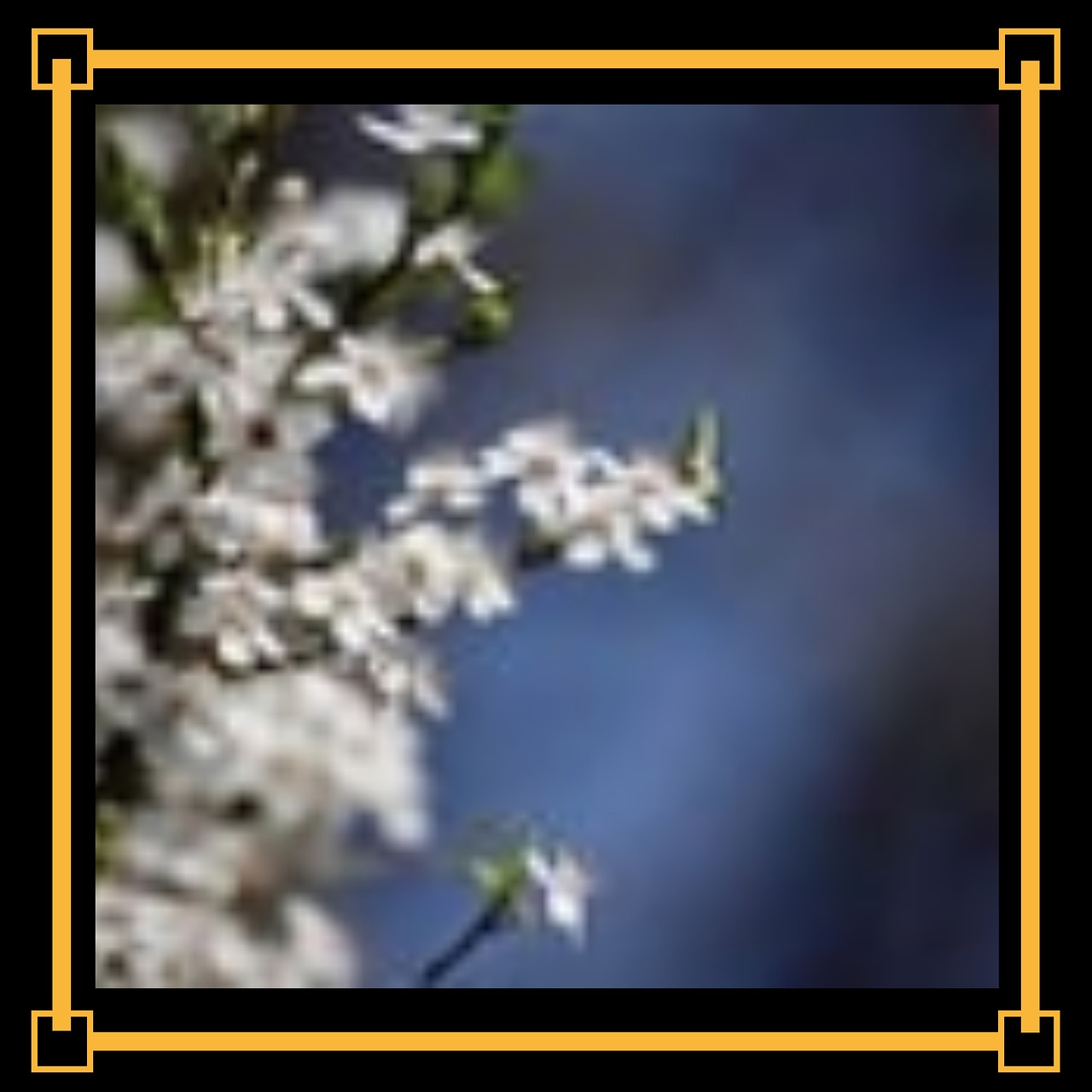 Contexte Cadre Photo - Photo gratuite sur Pixabay
