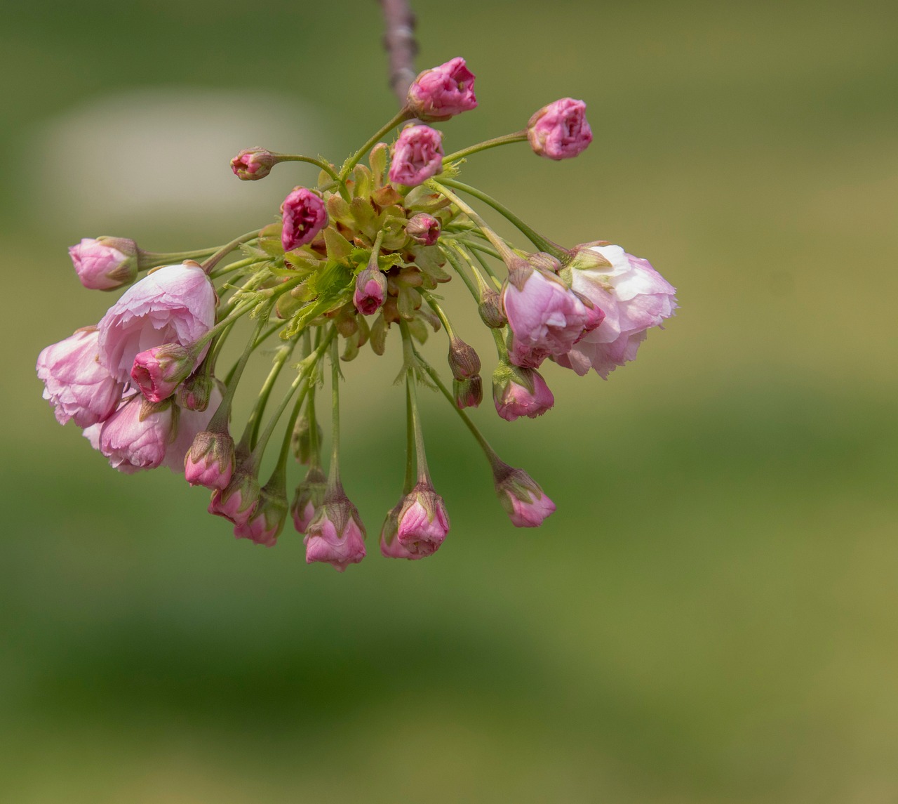Page 2 - Discover and download free images - Pixabay