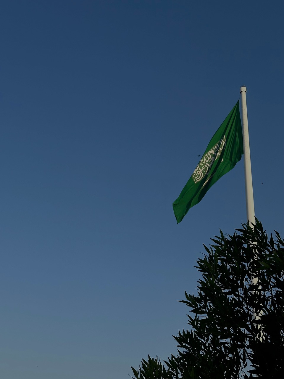 Drapeau Arabie Saoudite - Photo gratuite sur Pixabay