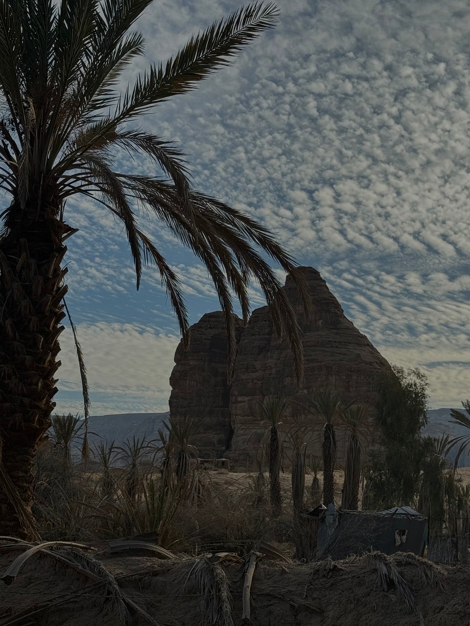 Alula Historical Village - Free photo on Pixabay