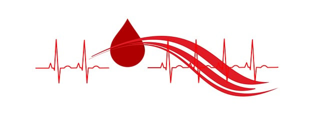 2,000+ Free Blood & Blood Pressure Images - Pixabay