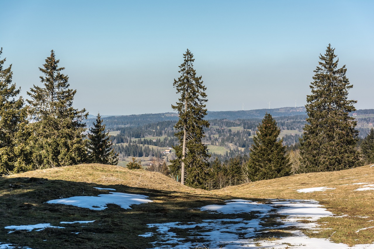 Canton Of Neuchâtel Winter The - Free photo on Pixabay