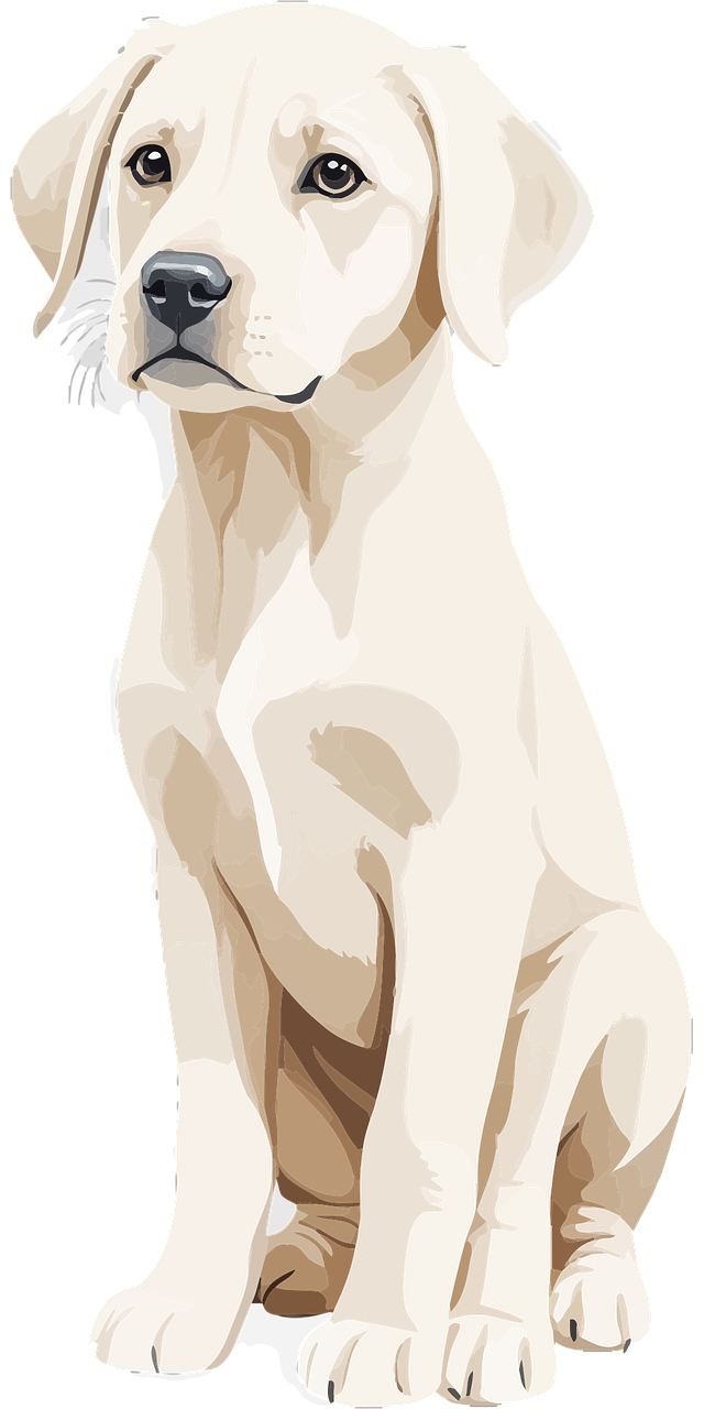 Download Labrador Retriever, Puppy, Dog. Royalty-Free Vector Graphic ...