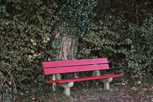Bench Nature Seating - Free photo on Pixabay