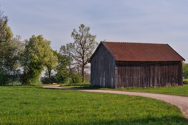 Spring Path Trees Field - Free photo on Pixabay