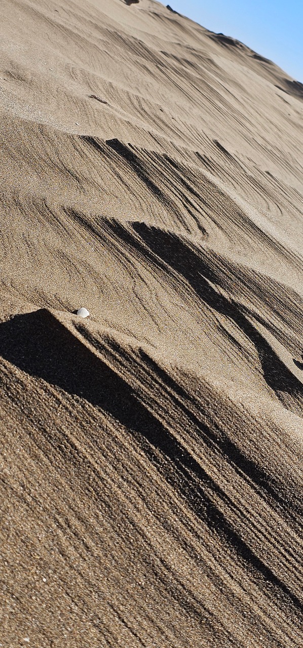 Sand Beach Desert - Free photo on Pixabay