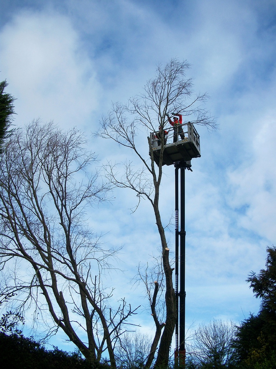 Cherry-Picker Pruning Work - Free photo on Pixabay