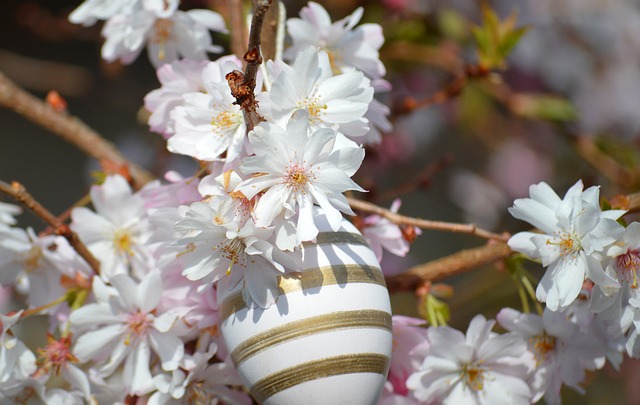 Easter Picture Egg - Free photo on Pixabay