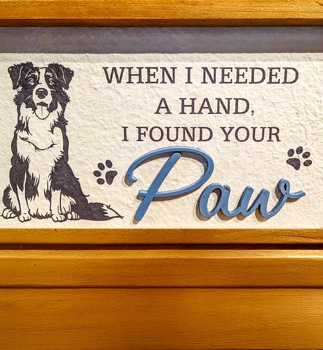 Dog Plaque Sign - Free photo on Pixabay