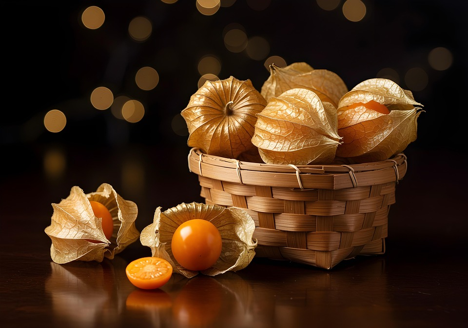 Download Physalis Fruits, Plants, Nature. Royalty-Free Stock ...