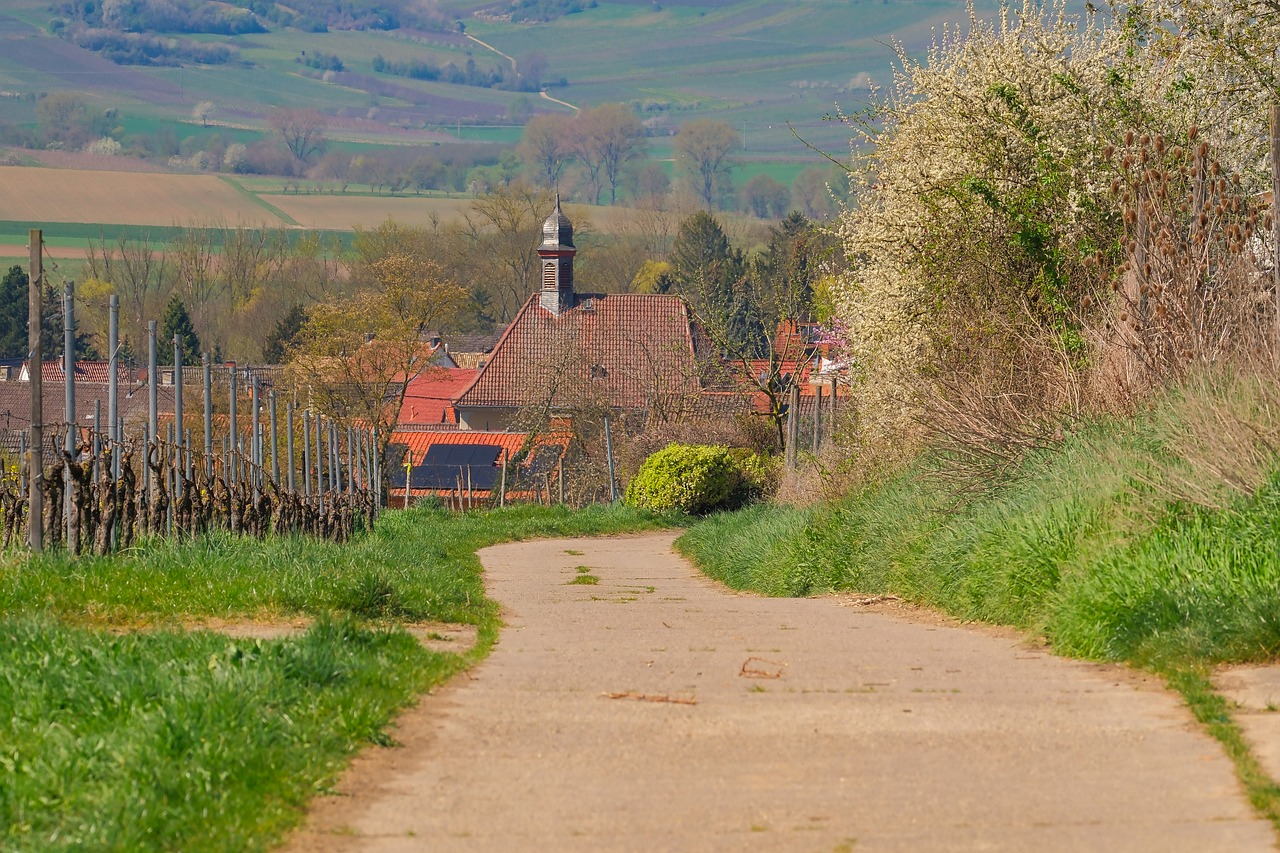Village Landscape Road - Free photo on Pixabay