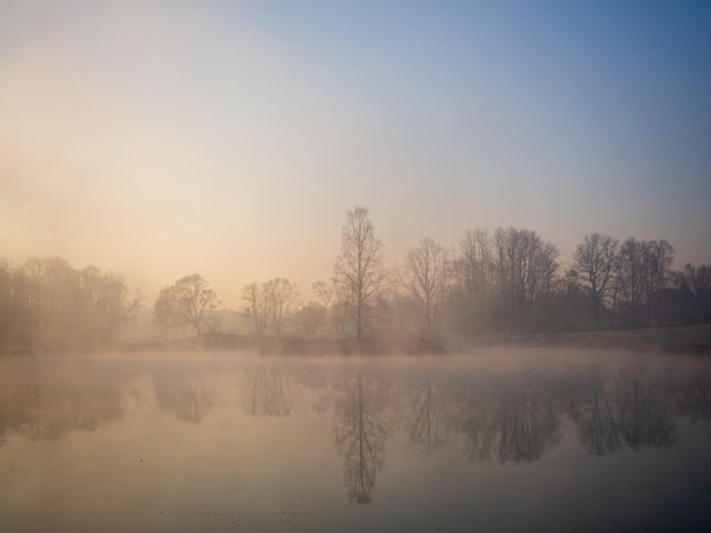 Bäume Nebel Natur - Kostenloses Foto auf Pixabay