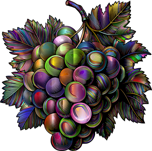Download Grapes, Fruit, Plant. Royalty-Free Vector Graphic - Pixabay