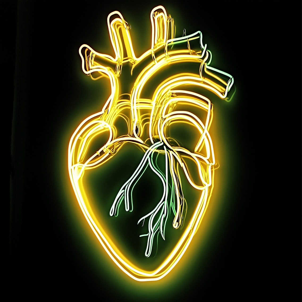 Download Heart, Neon, Human Heart. Royalty-Free Stock Illustration ...