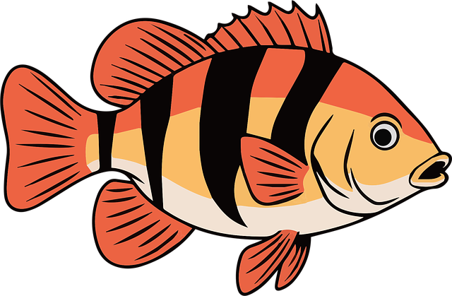 Download Tiger Fish Illustration, Vibrant Fish Vector, Colorful Tiger ...