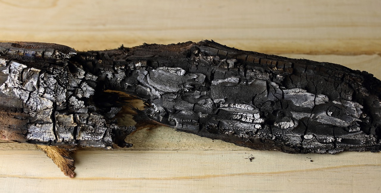 Burnt Wood Charcoaled Partially - Free photo on Pixabay