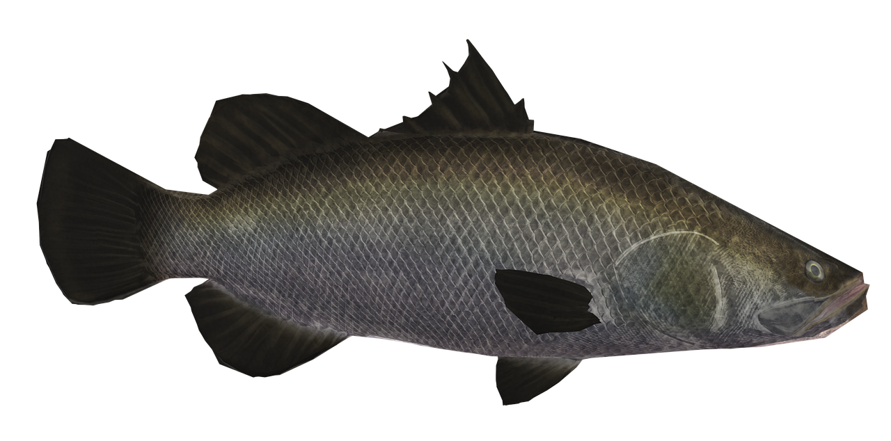 20,000+ Free Bass Fishing & Fishing Images - Pixabay