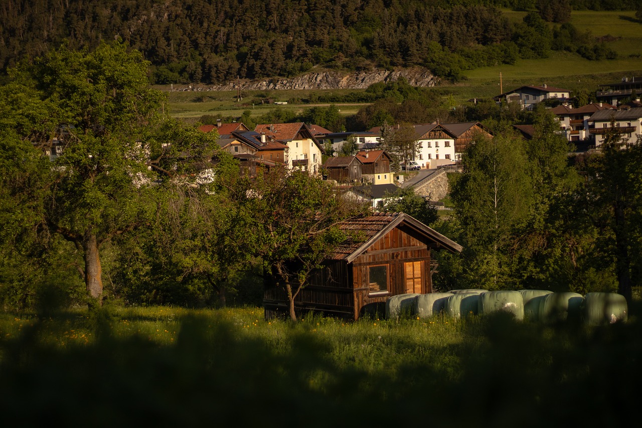 Hut Nature House - Free photo on Pixabay