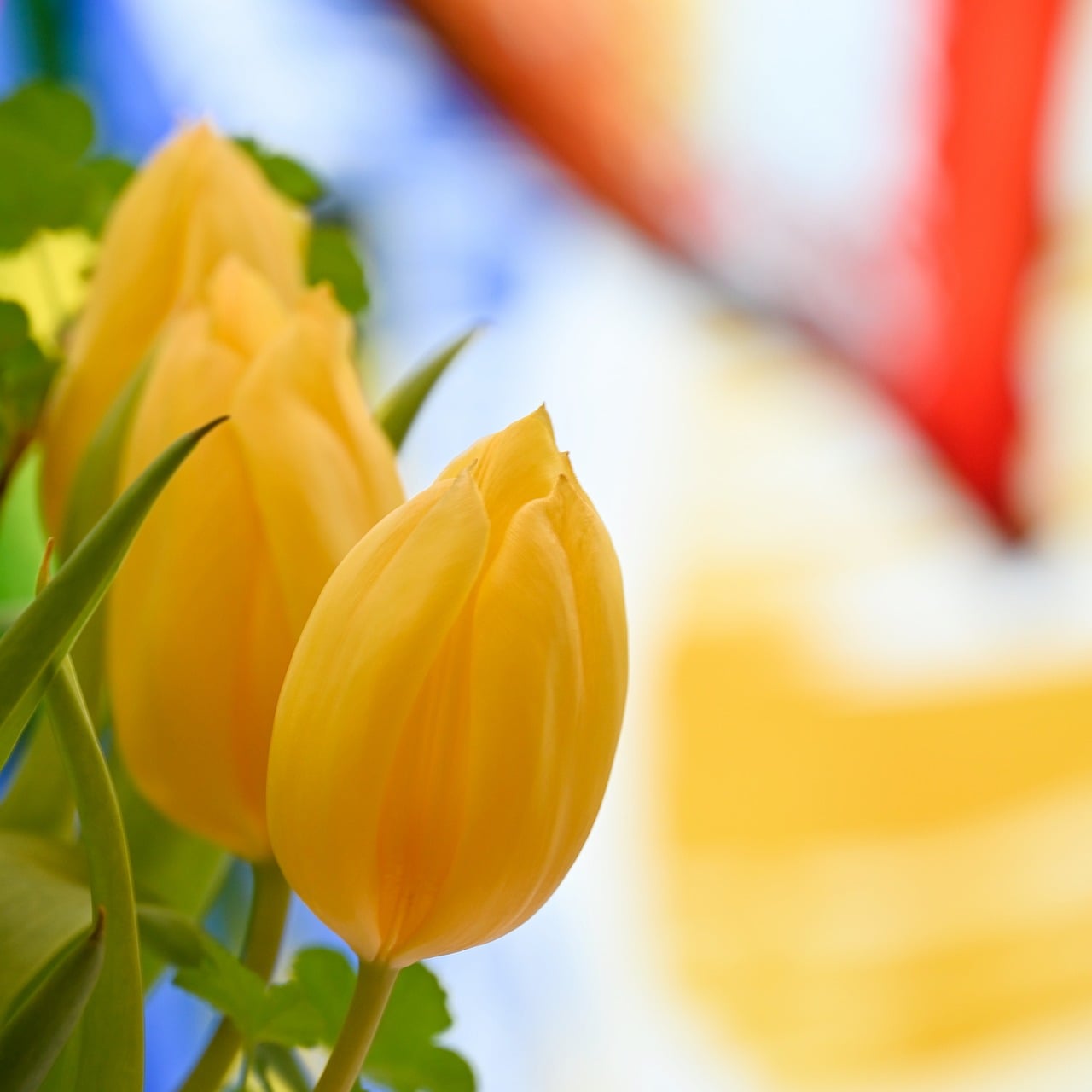 Tulips Altar Easter - Free photo on Pixabay