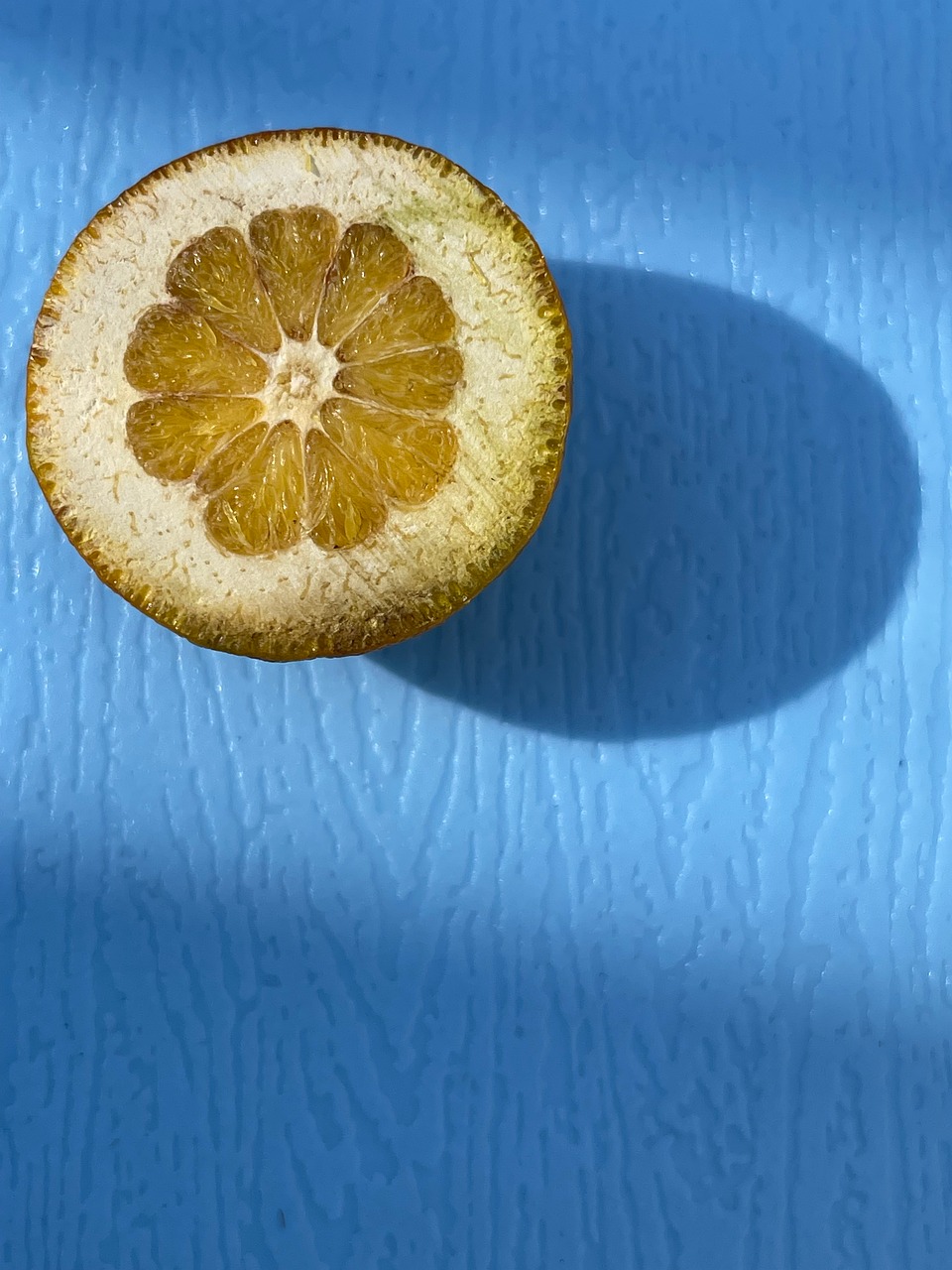 Orange Nature Fruit - Free photo on Pixabay