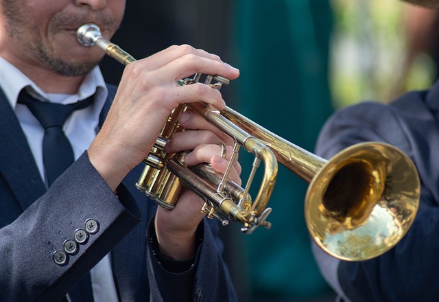 Musicien Artiste Instrument - Photo gratuite sur Pixabay