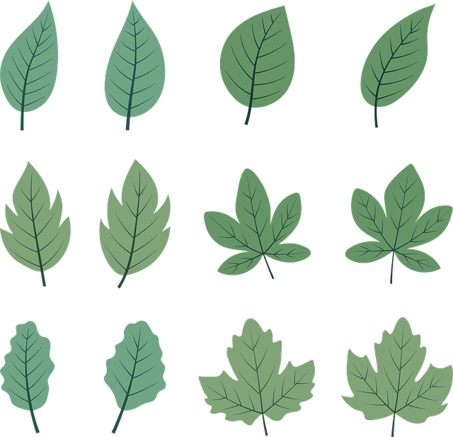 Free Forest Leaves Vector Art - Download 6,422+ Forest Leaves Icons ...