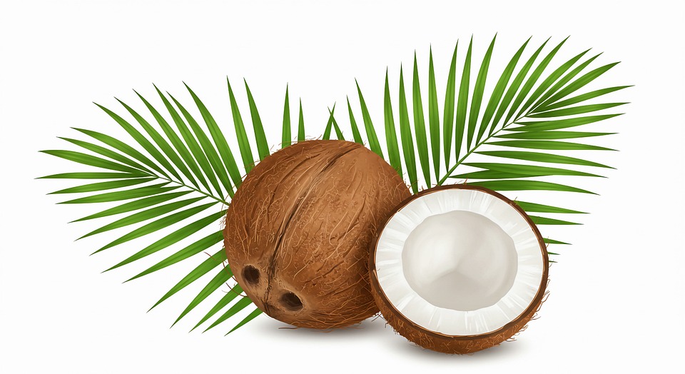 Download Ai Generated, Coconut Tree, Fruit. Royalty-Free Stock ...