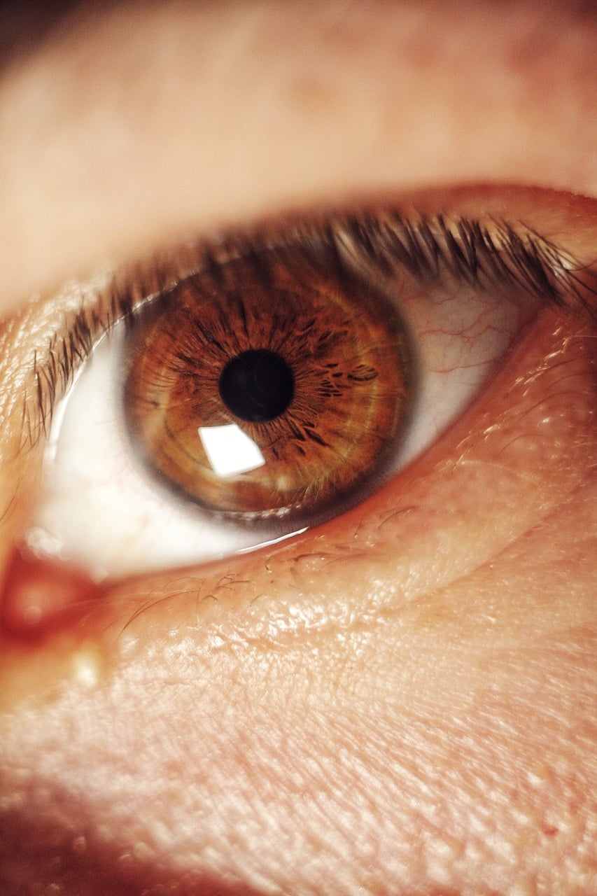 Oog Macro Canon - Gratis foto op Pixabay