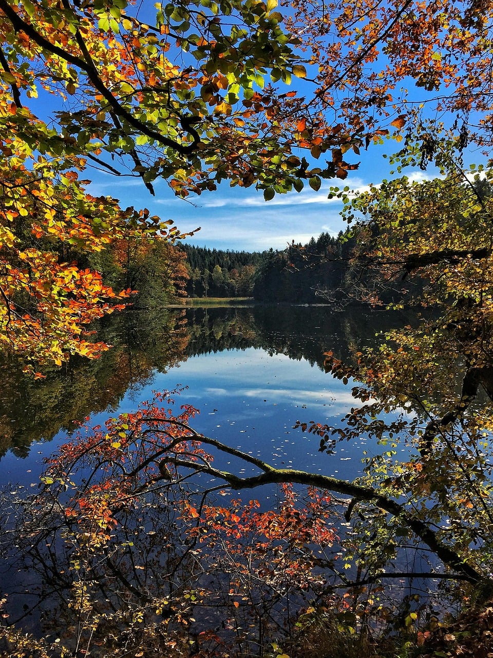 Lake Forest Water - Free photo on Pixabay