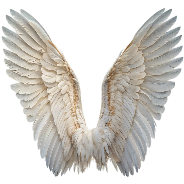 Download Ai Generated, Wings, White. Royalty-Free Stock Illustration ...