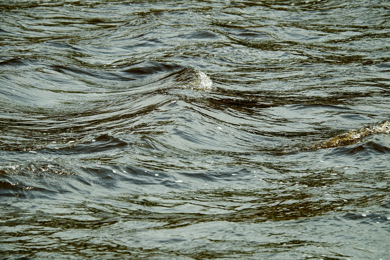 Water River Surface - Free photo on Pixabay