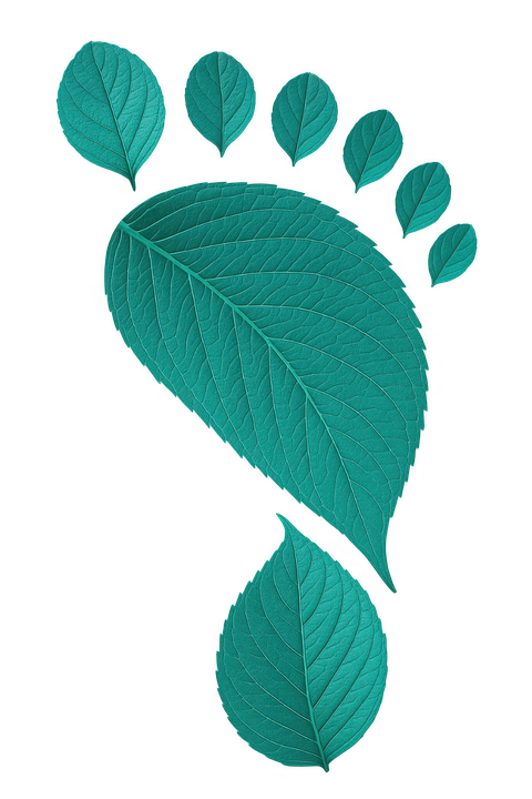 Download Leaf Footprint, Eco Symbol, Environmental Design. Royalty-Free ...