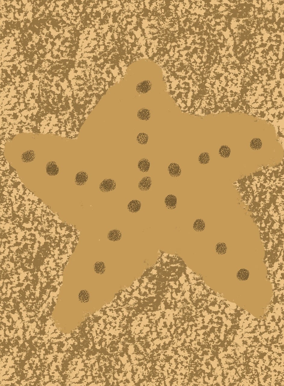 Download Starfish, Beach, Nature. Royalty-Free Stock Illustration Image ...