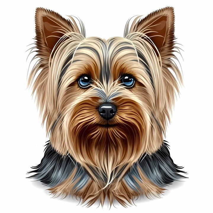 Download Yorkshire Terrier, Yorkie, Dog Portrait. Royalty-Free Stock ...