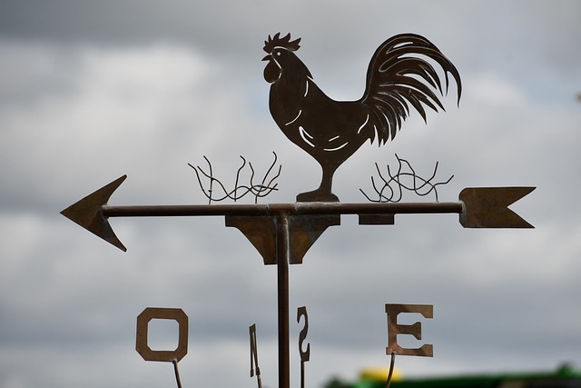Weather Vane Nature Mill - Free photo on Pixabay