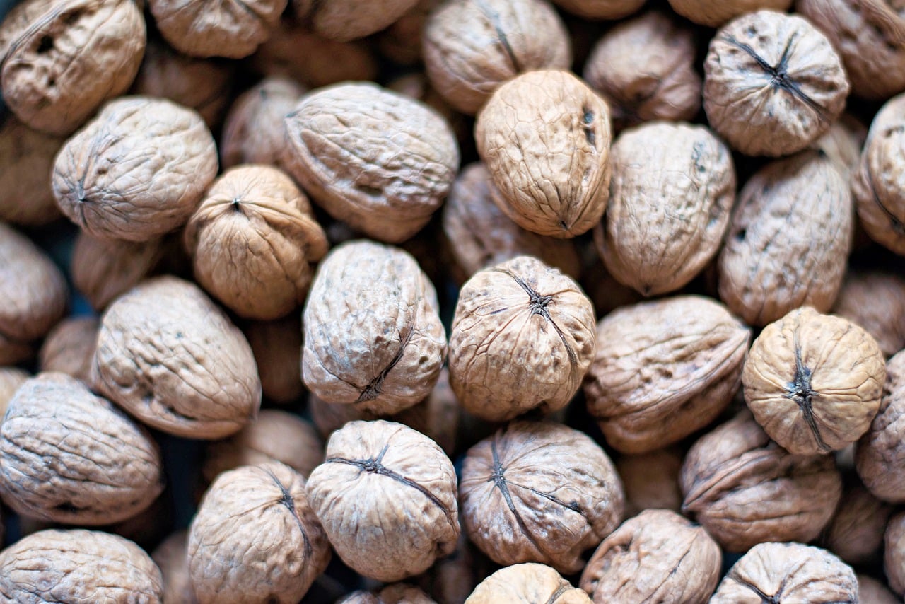 Walnuts Chestnut Organic - Free photo on Pixabay