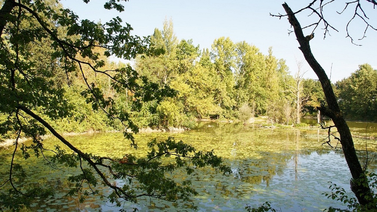 River Landscape Nature The - Free photo on Pixabay