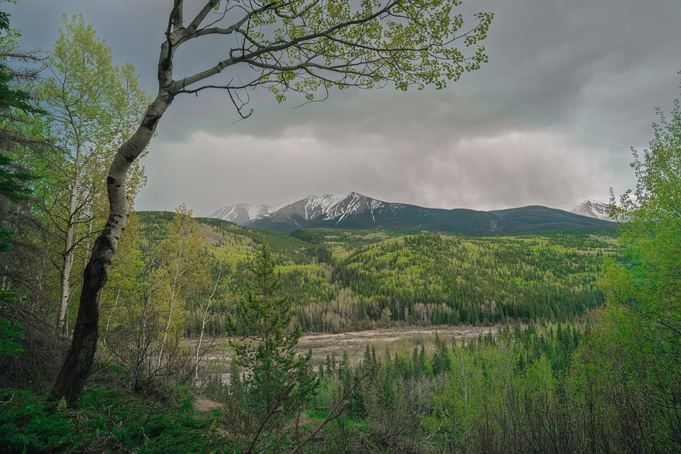 Landscape Alberta Canada - Free photo on Pixabay